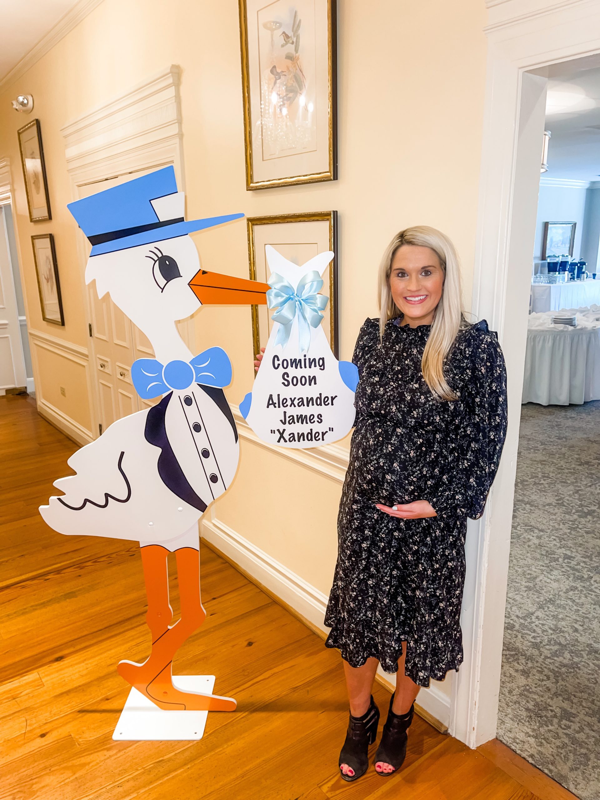 Stork Sign for Baby Shower - Storks of Michigan